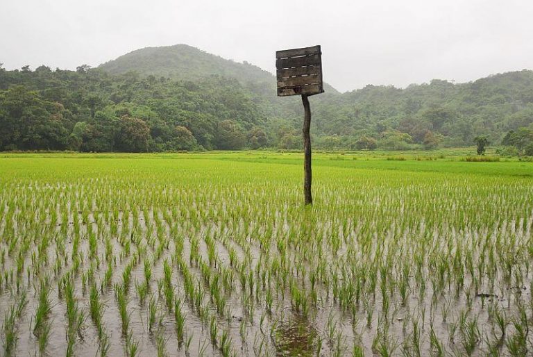 21 Photos that Will Make You Want to Visit Abra - silverbackpacker.com