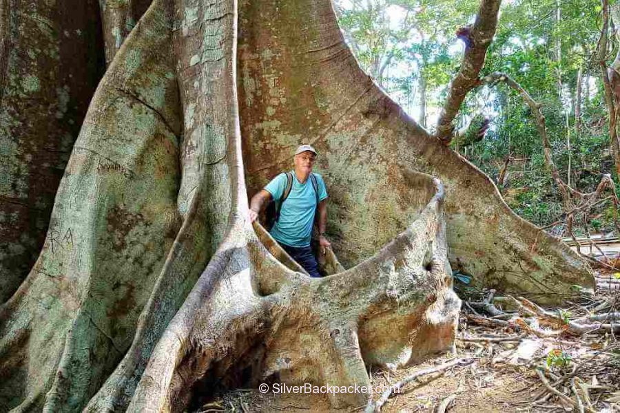 Riding Mt Sedir | Abra's Road for Bikers - silverbackpacker.com