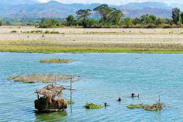 Guide to Traditional Fishing on the Abra River - silverbackpacker.com
